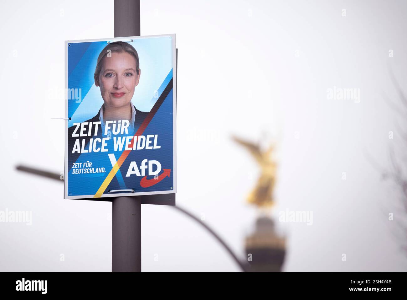 AFD Wahlplakat DEU, Deutschland, Deutschland, Berlin, 06.02.2025 Wahlplakat der Partei AfD ...