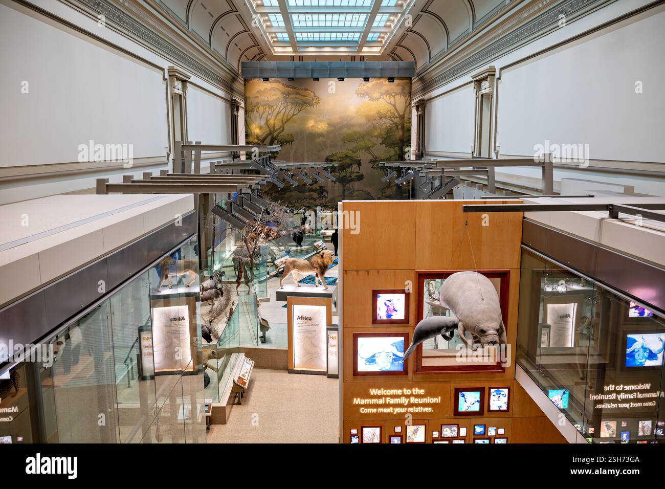 WASHINGTON DC, USA – die Kenneth E. Behring Family Hall of Mammals im National Museum of Natural ...