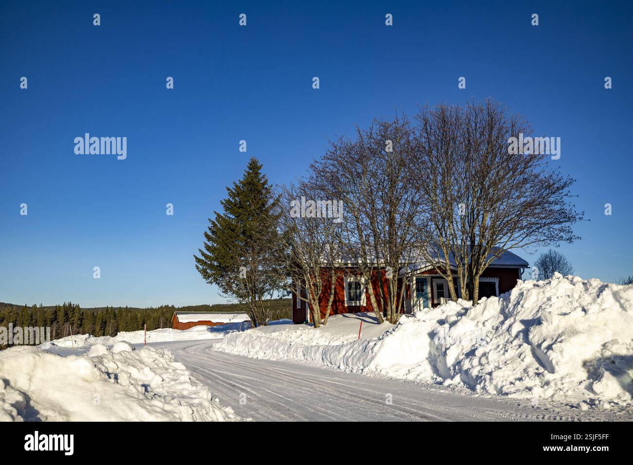 Ambiance während der Rallye Schweden 2025, 2. Runde der WRC World ...