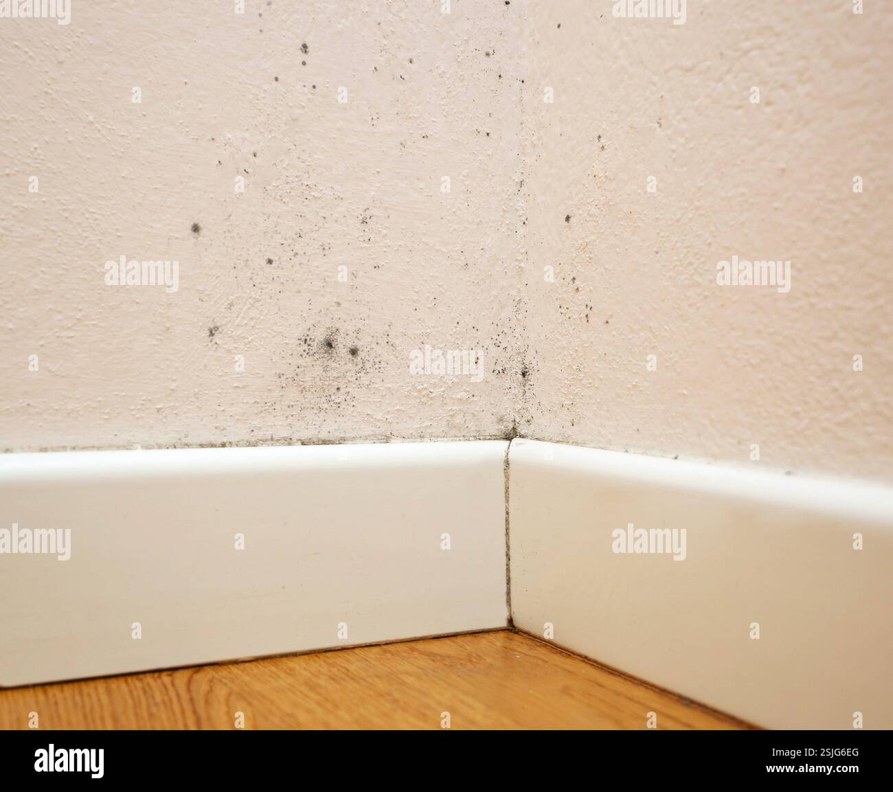 Molde en madera -Fotos und -Bildmaterial in hoher Auflösung – Alamy