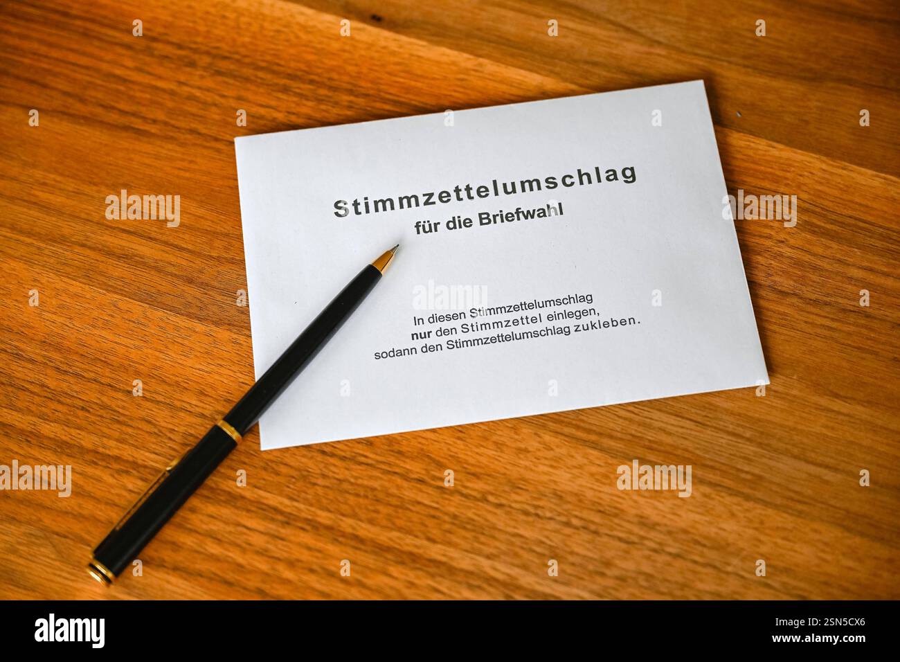 Wahlunterlagen zur Bundestagswahl 2025, Deutschland, BLF, *** Wahlunterlagen zur Bundestagswahl ...