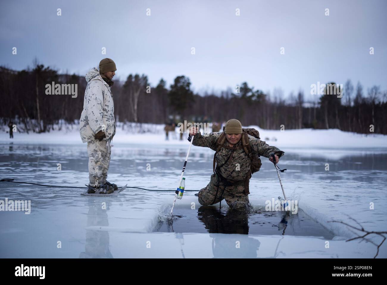 Setermoen, Norwegen. Februar 2025. U.S. Marines mit Combat Logistics ...