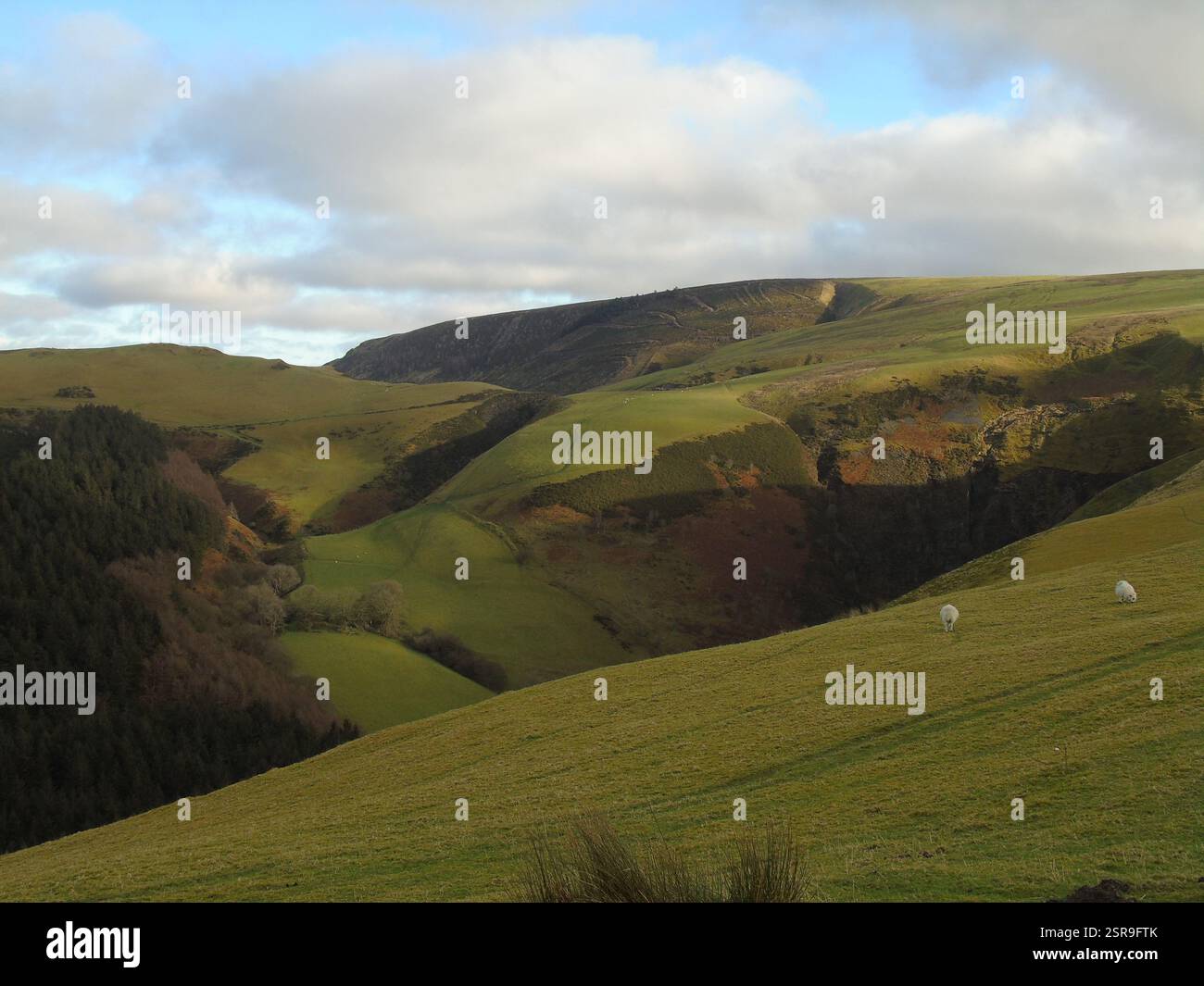 Walisisches erbe -Fotos und -Bildmaterial in hoher Auflösung – Alamy