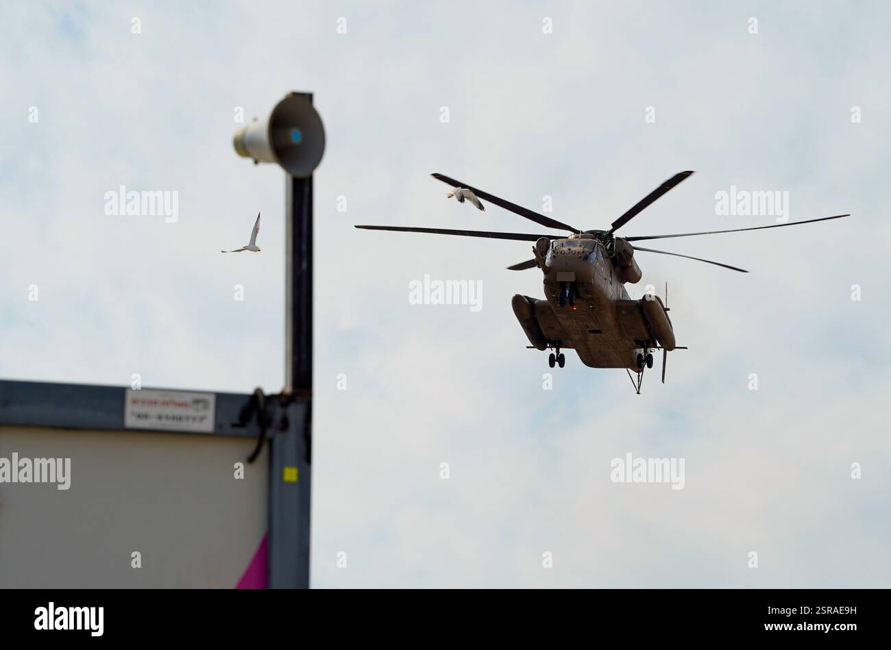IDF-Helikopter mit 2 freigelassenen Geiseln landet im Sheba Krankenhaus. Die israelischen ...