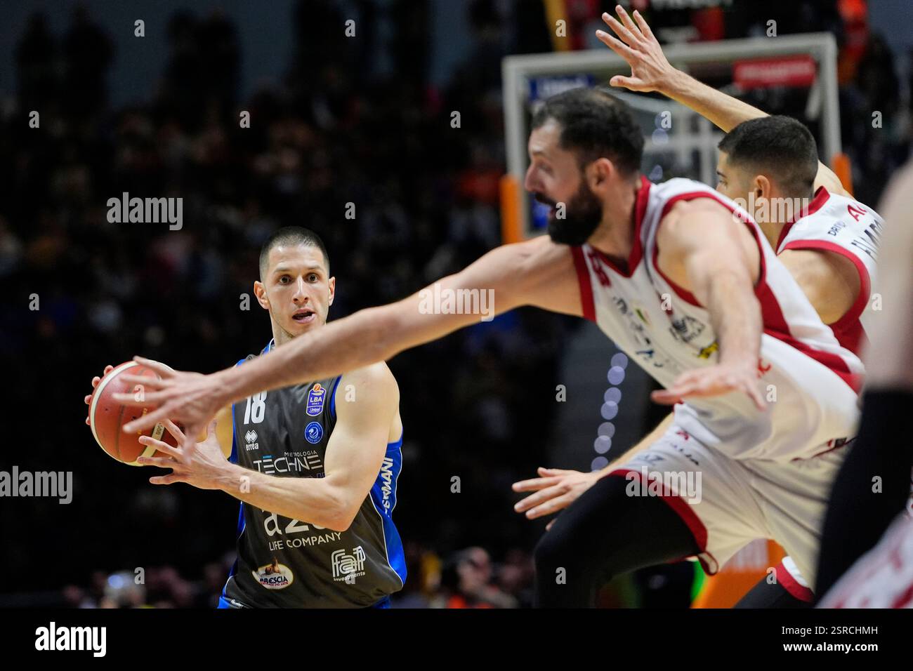 Torino, Italien. Februar 2025. Germani Pallacanestro Brescia Nikola ...