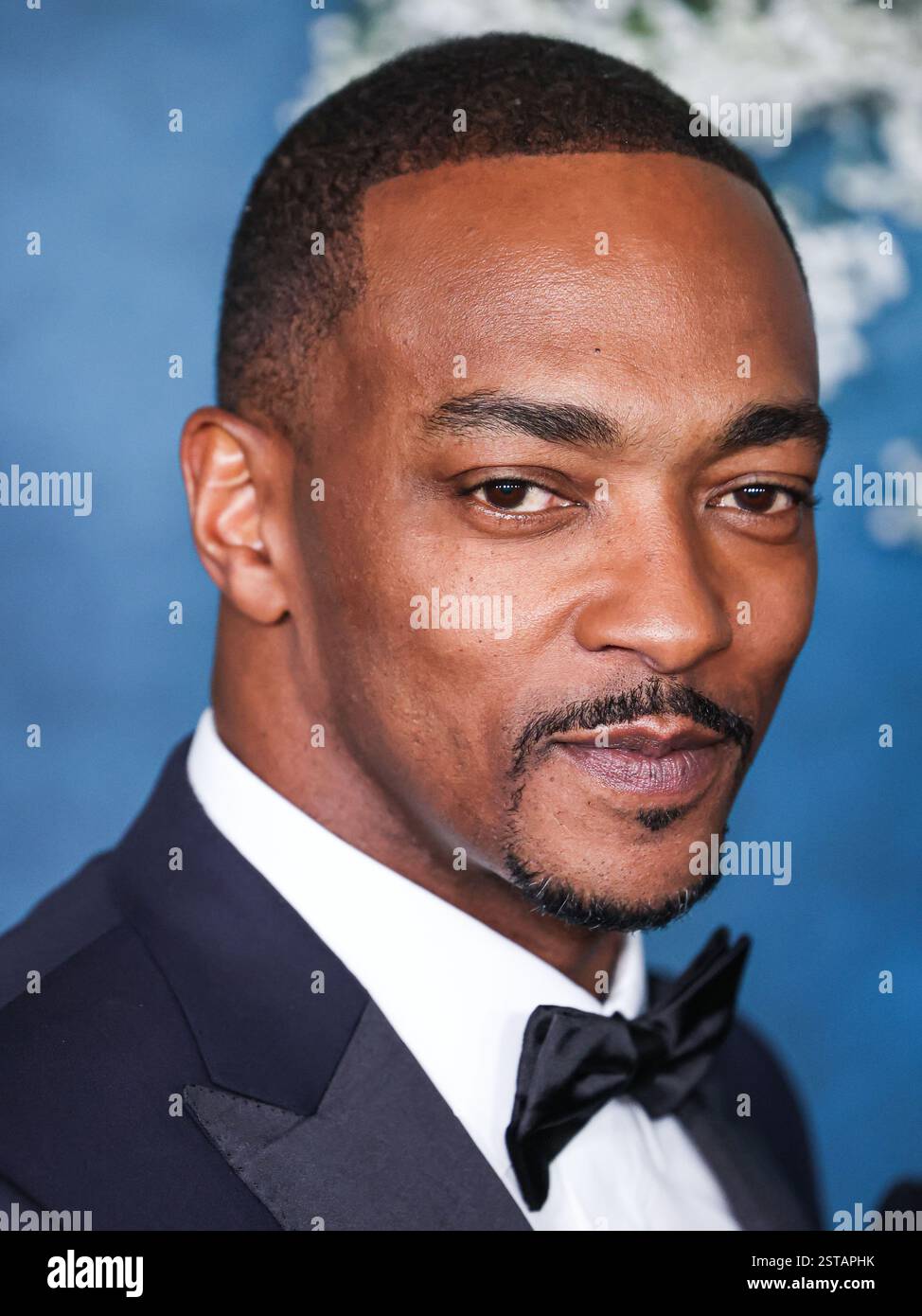 Los Angeles, Usa. Februar 2025. LOS ANGELES, KALIFORNIEN, USA - 17 ...