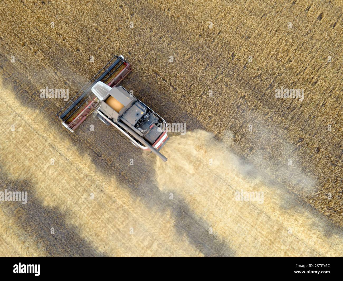 Erntemaschine, die im Weizenfeld arbeitet. Landwirtschaft, reiche Ernte ...