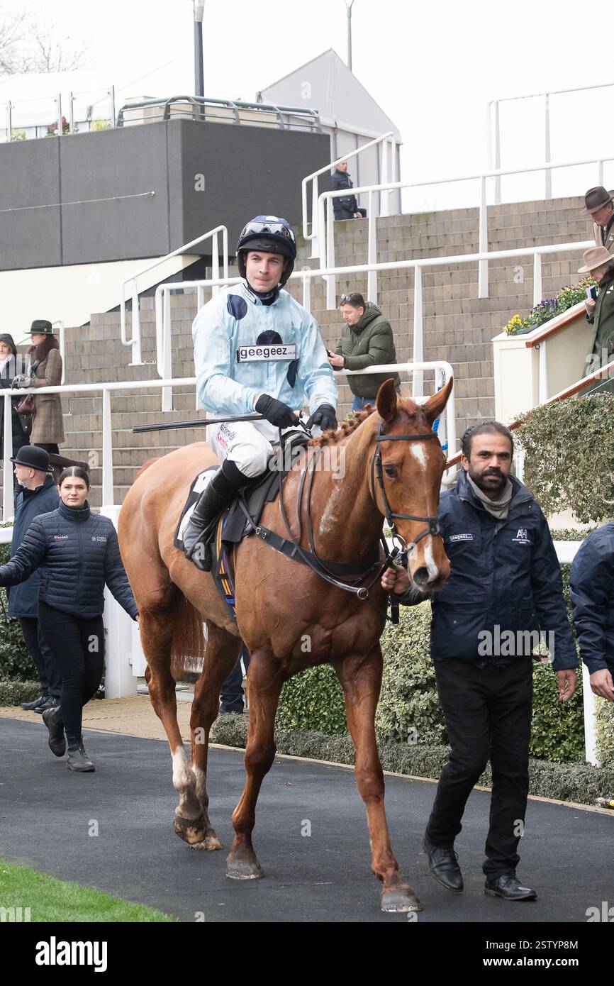 Ascot, Berkshire, Großbritannien. Februar 2025. Der von Jockey Rex ...