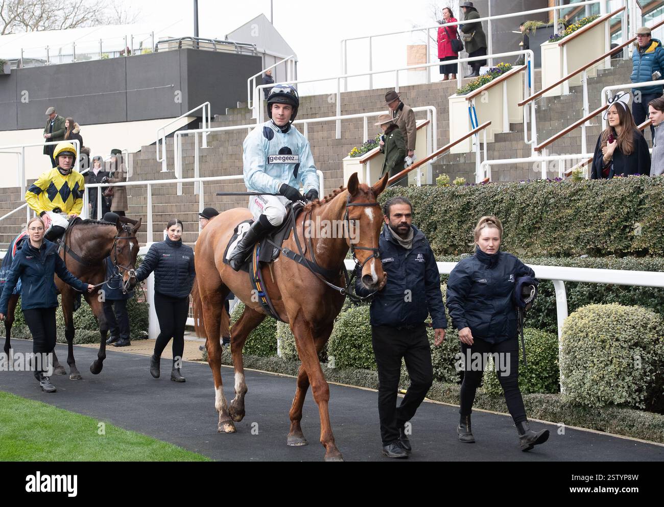 Ascot, Berkshire, Großbritannien. Februar 2025. Der von Jockey Rex ...