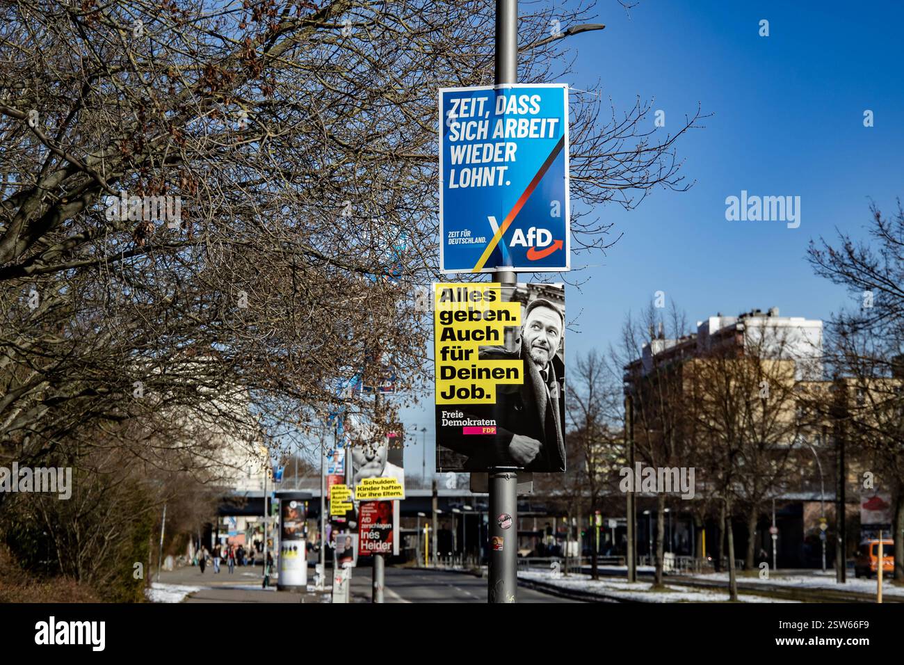 Wahlplakate der AfD und der FDP mit Christian Lindner für die ...