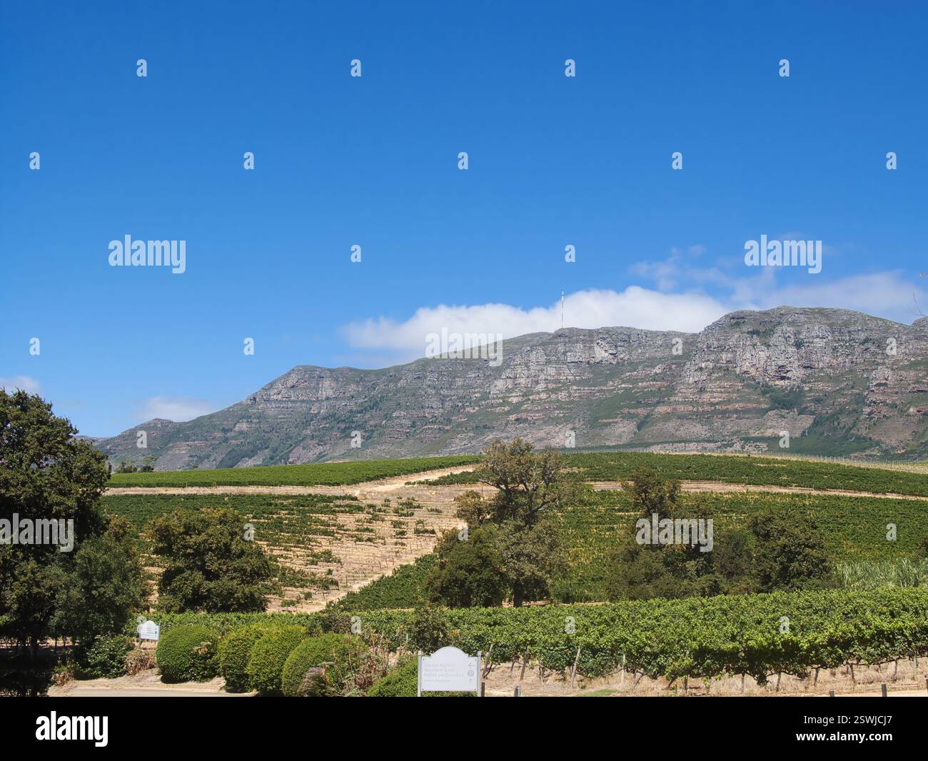 Constantiaberg berg -Fotos und -Bildmaterial in hoher Auflösung – Alamy