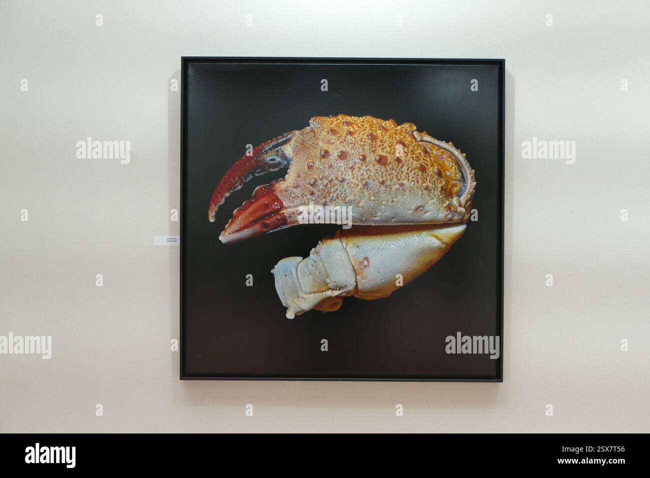 Christophe drochon -Fotos und -Bildmaterial in hoher Auflösung – Alamy