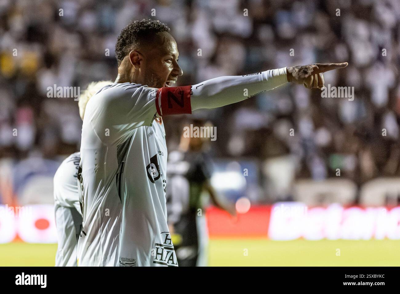 Paulistao a1 -Fotos und -Bildmaterial in hoher Auflösung – Alamy