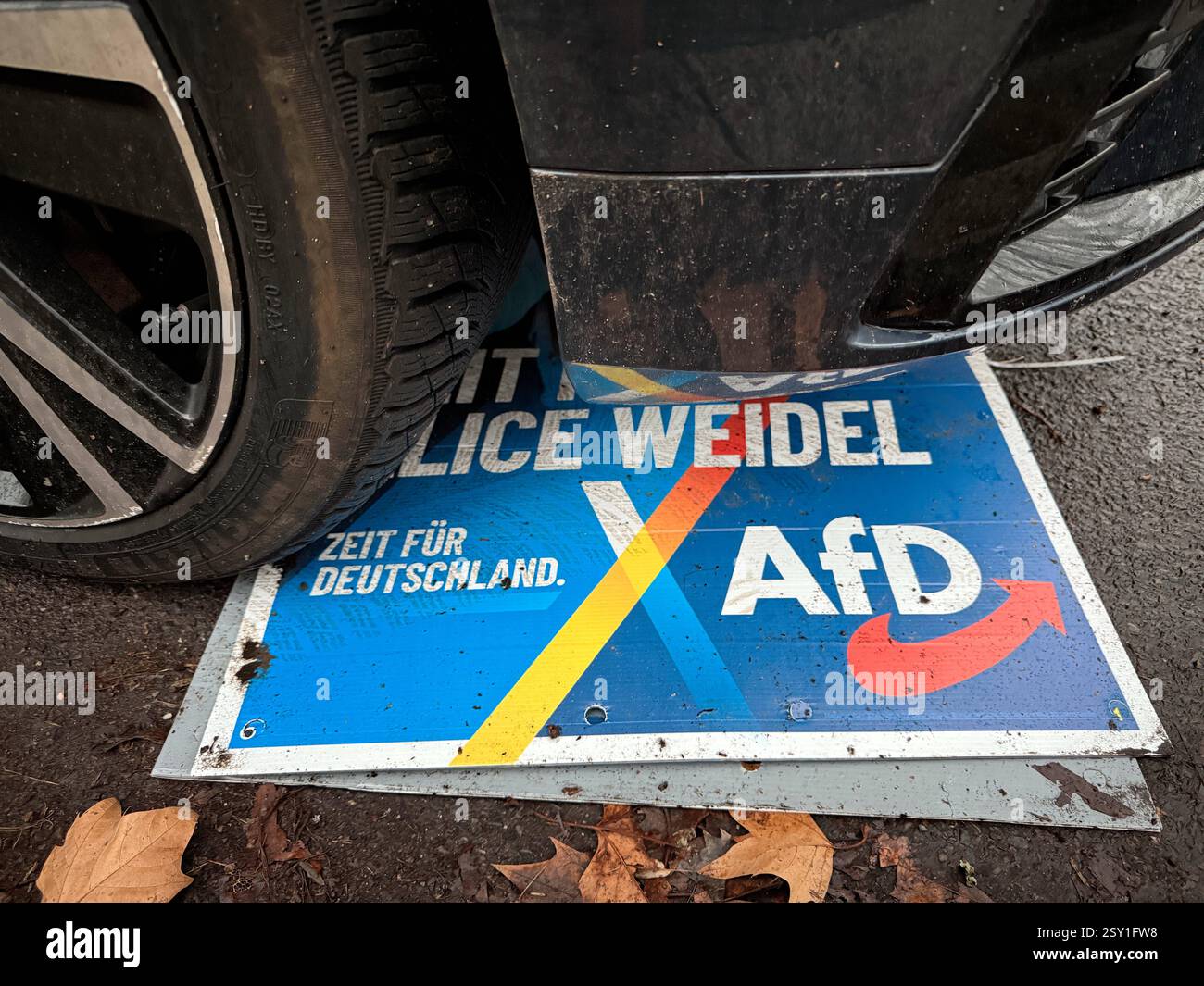 Wahlplakat AfD GER, Berlin, 20250226, Plakat der AfD, Alice Weidel ...