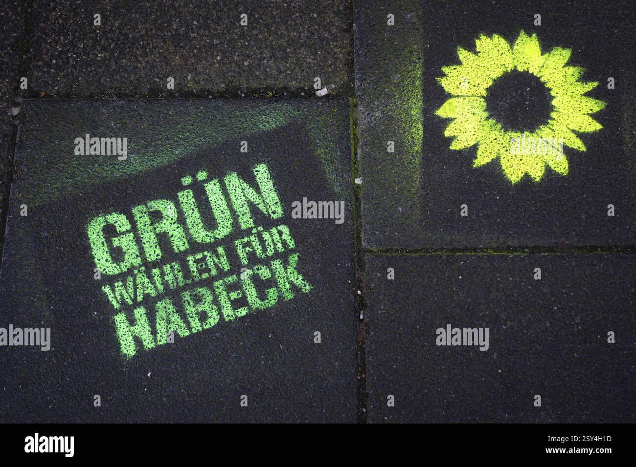 Ein Schild mit der Aufschrift Gruen WAeHLEN fuer HABECK auf einem ...