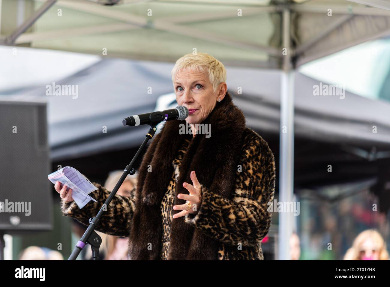 Ann lennox obe -Fotos und -Bildmaterial in hoher Auflösung – Alamy