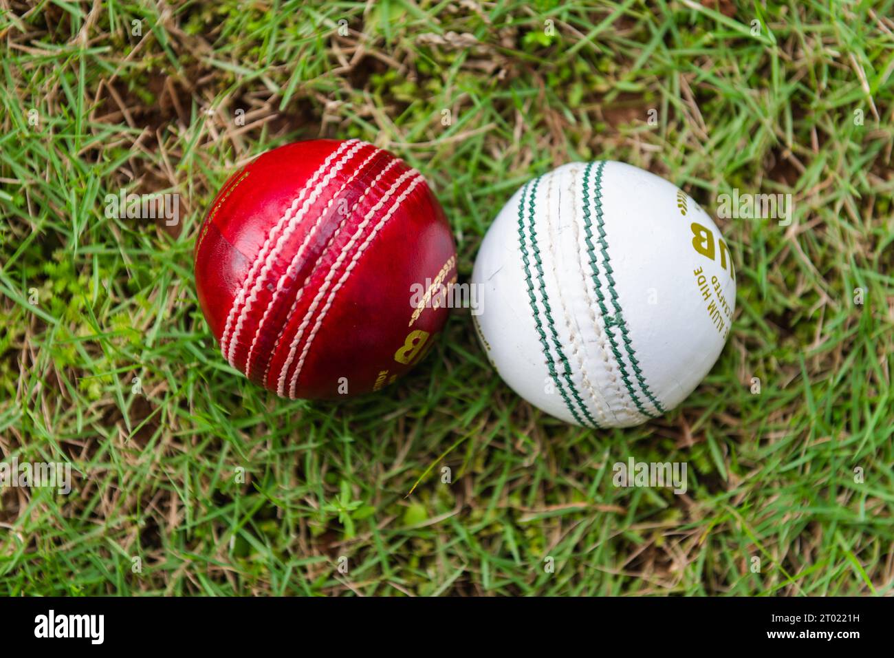 Cricket world cup trophy -Fotos und -Bildmaterial in hoher Auflösung – Alamy