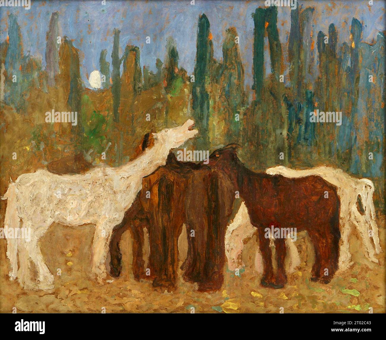 Ich bedauere -Fotos und -Bildmaterial in hoher Auflösung – Alamy