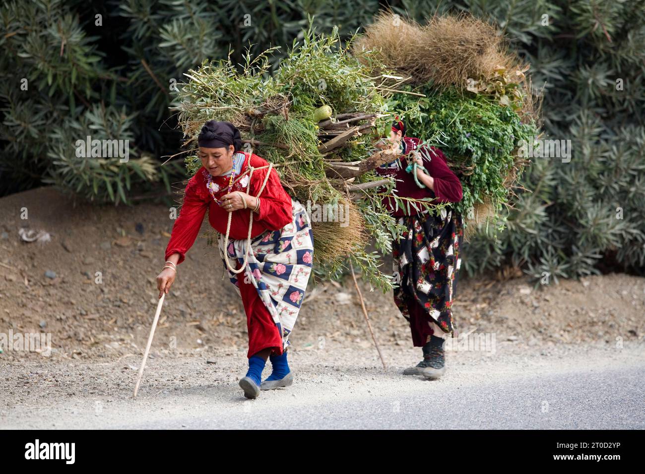Zwei berberfrauen -Fotos und -Bildmaterial in hoher Auflösung – Alamy