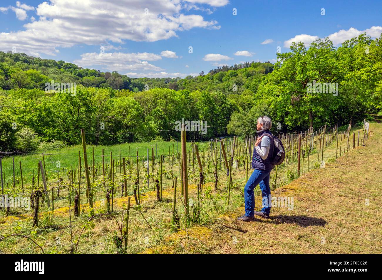 Traumschleifen saar hunsrück -Fotos und -Bildmaterial in hoher ...