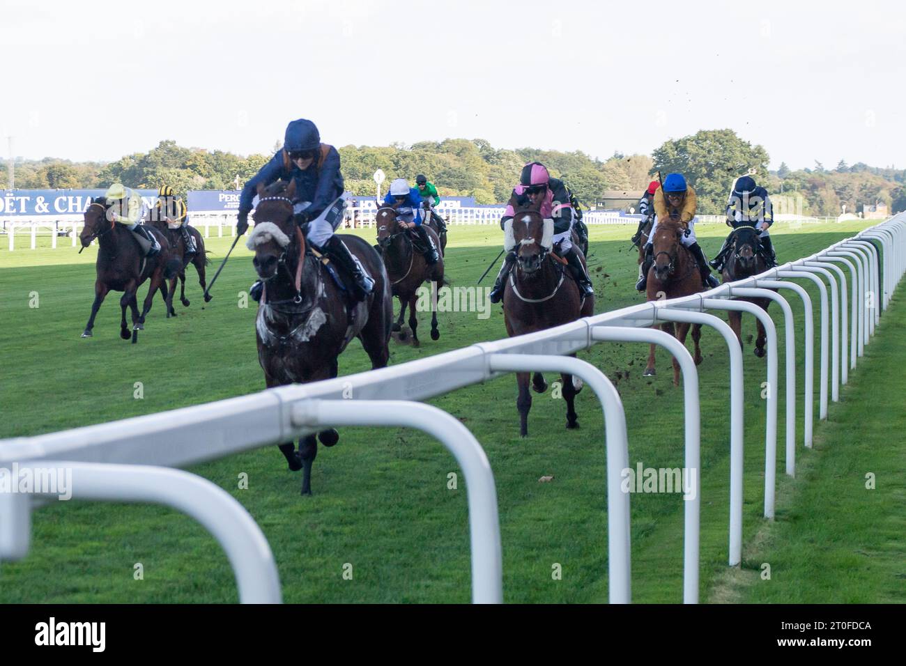 Archie watson -Fotos und -Bildmaterial in hoher Auflösung – Alamy