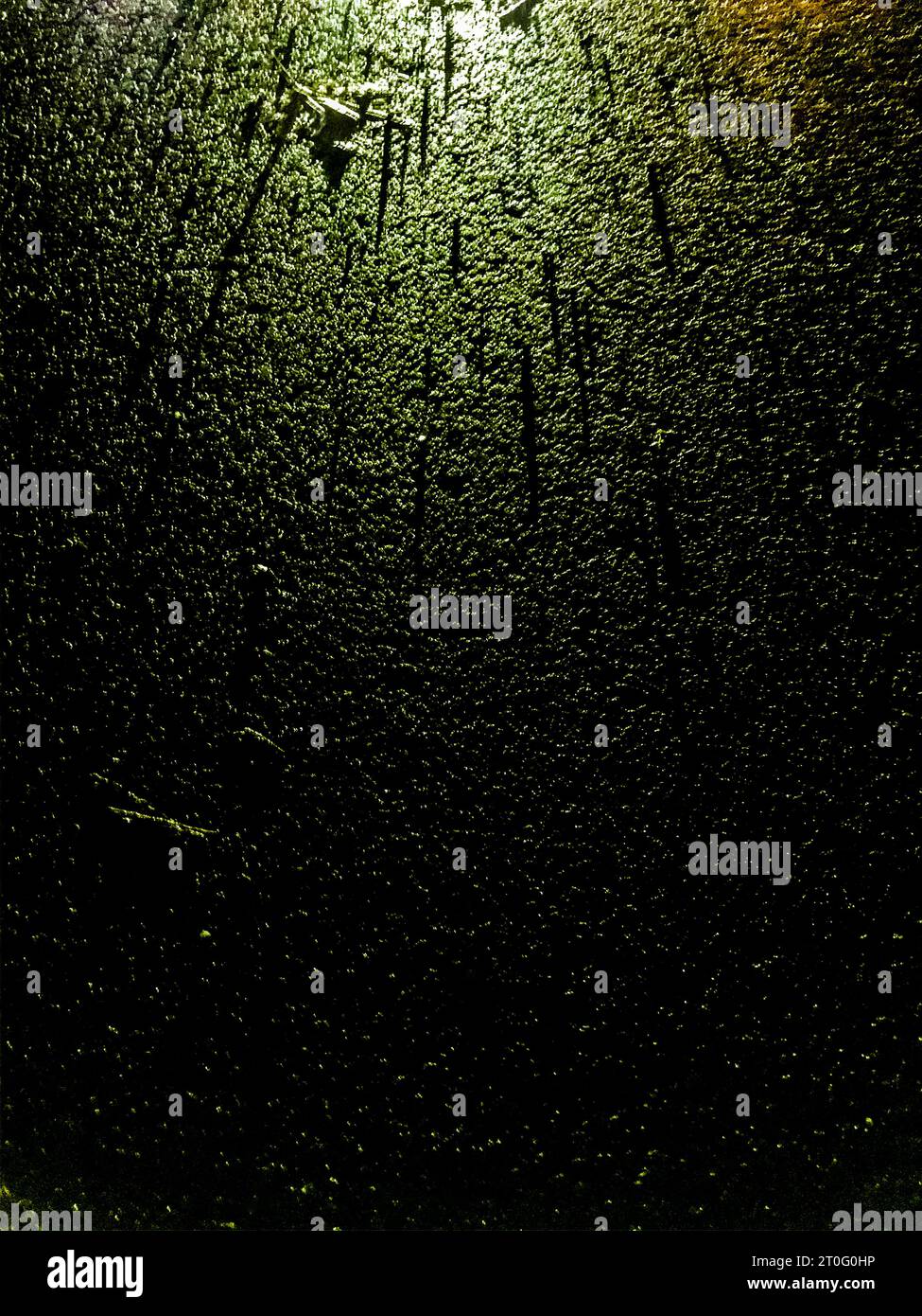 Detail vector vectors -Fotos und -Bildmaterial in hoher Auflösung – Alamy