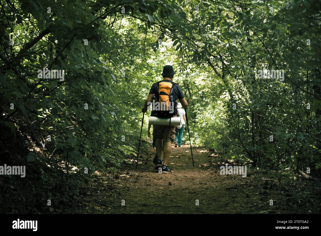 Wanderer trekking -Fotos und -Bildmaterial in hoher Auflösung – Alamy