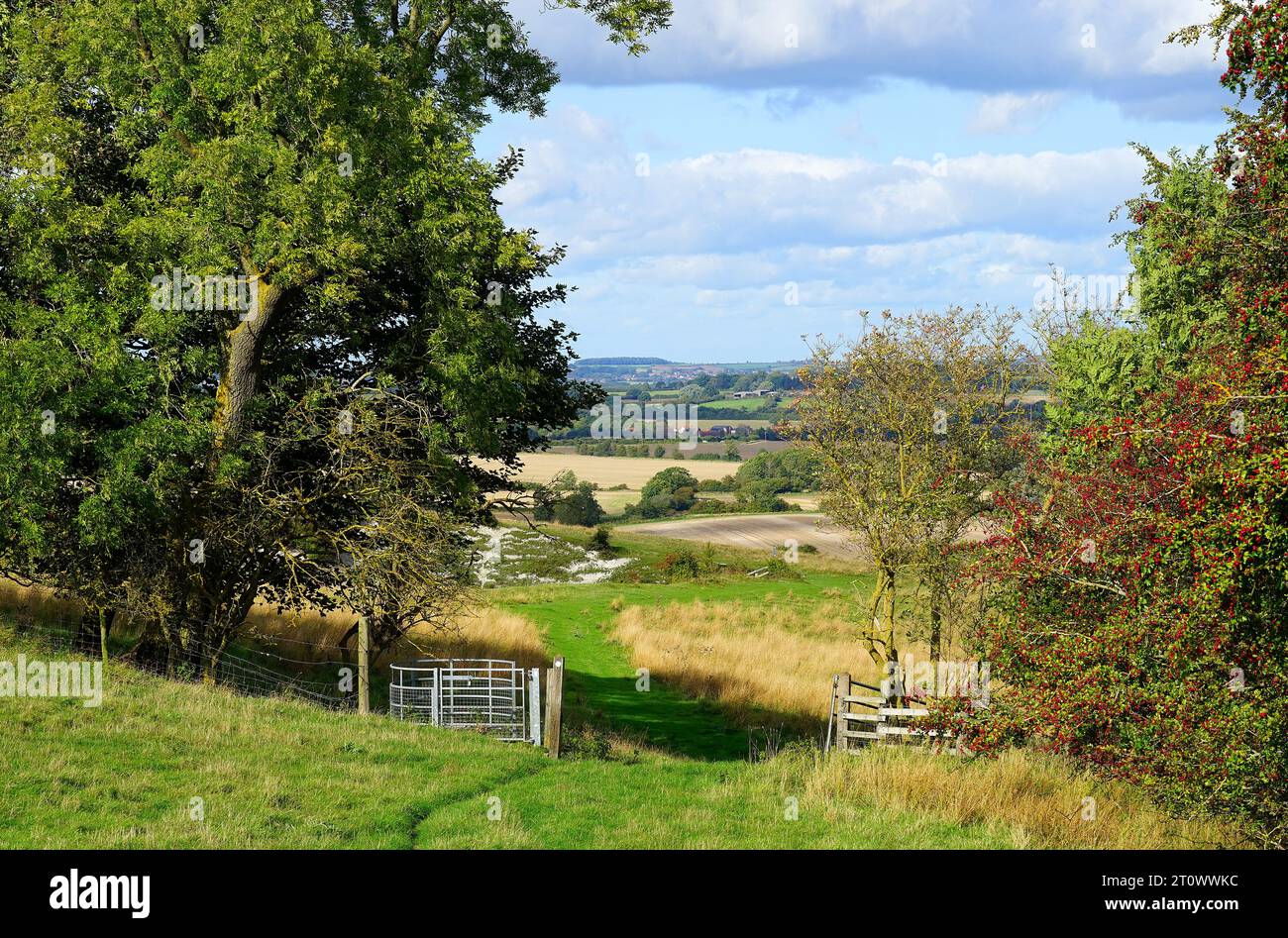 Sundon park -Fotos und -Bildmaterial in hoher Auflösung – Alamy