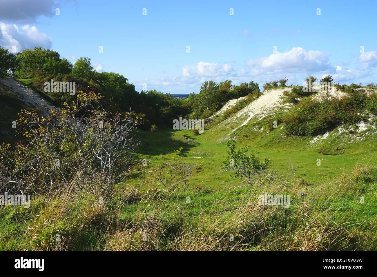 Sundon park -Fotos und -Bildmaterial in hoher Auflösung – Alamy