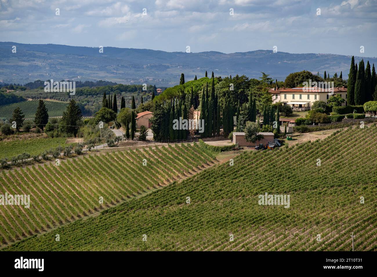 Toskana Weinberge Italien September 2023 der toskanische Wein ...