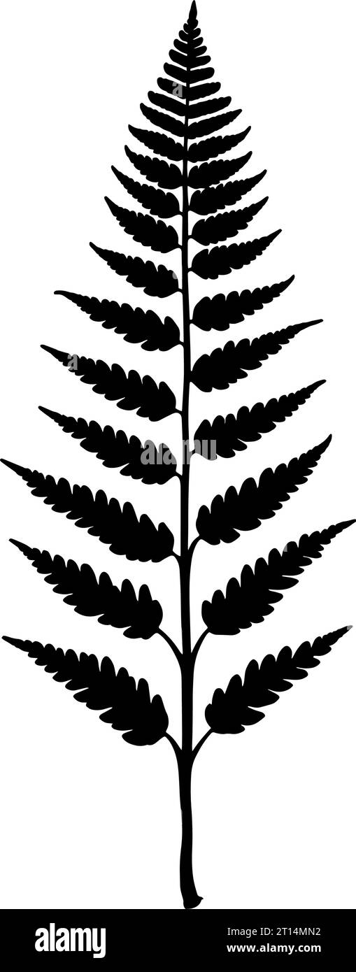 Farn symbol Stock-Vektorgrafiken kaufen - Alamy