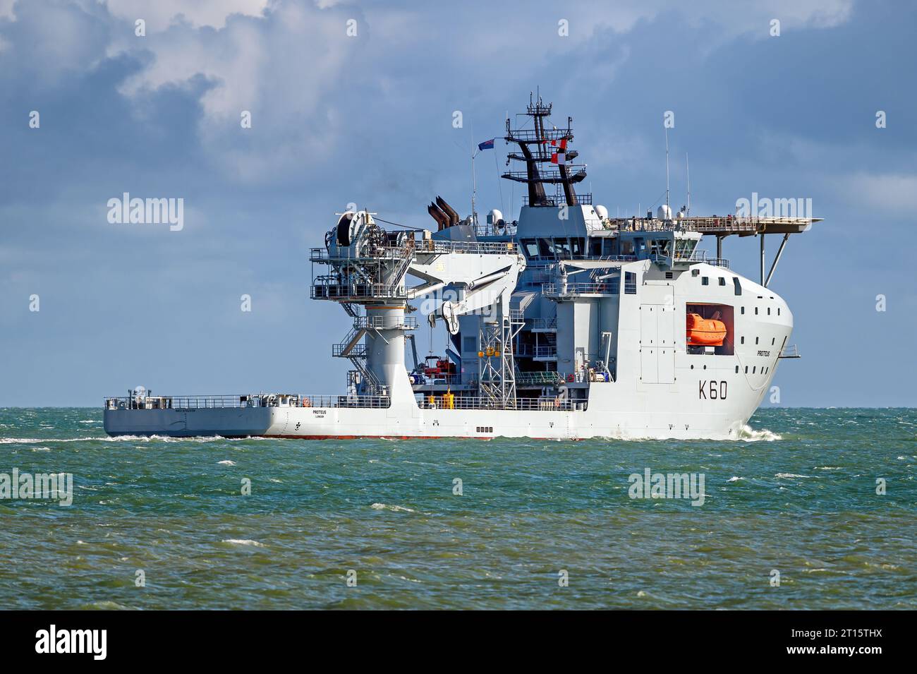 Rfa proteus -Fotos und -Bildmaterial in hoher Auflösung – Alamy