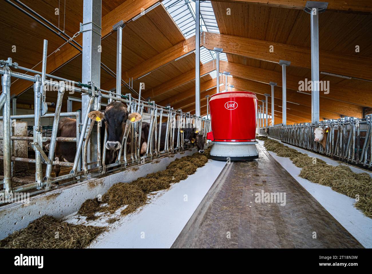 Rindviehfütterung - Lely Vector Fütterungsroboter zieht seine Bahn im ...
