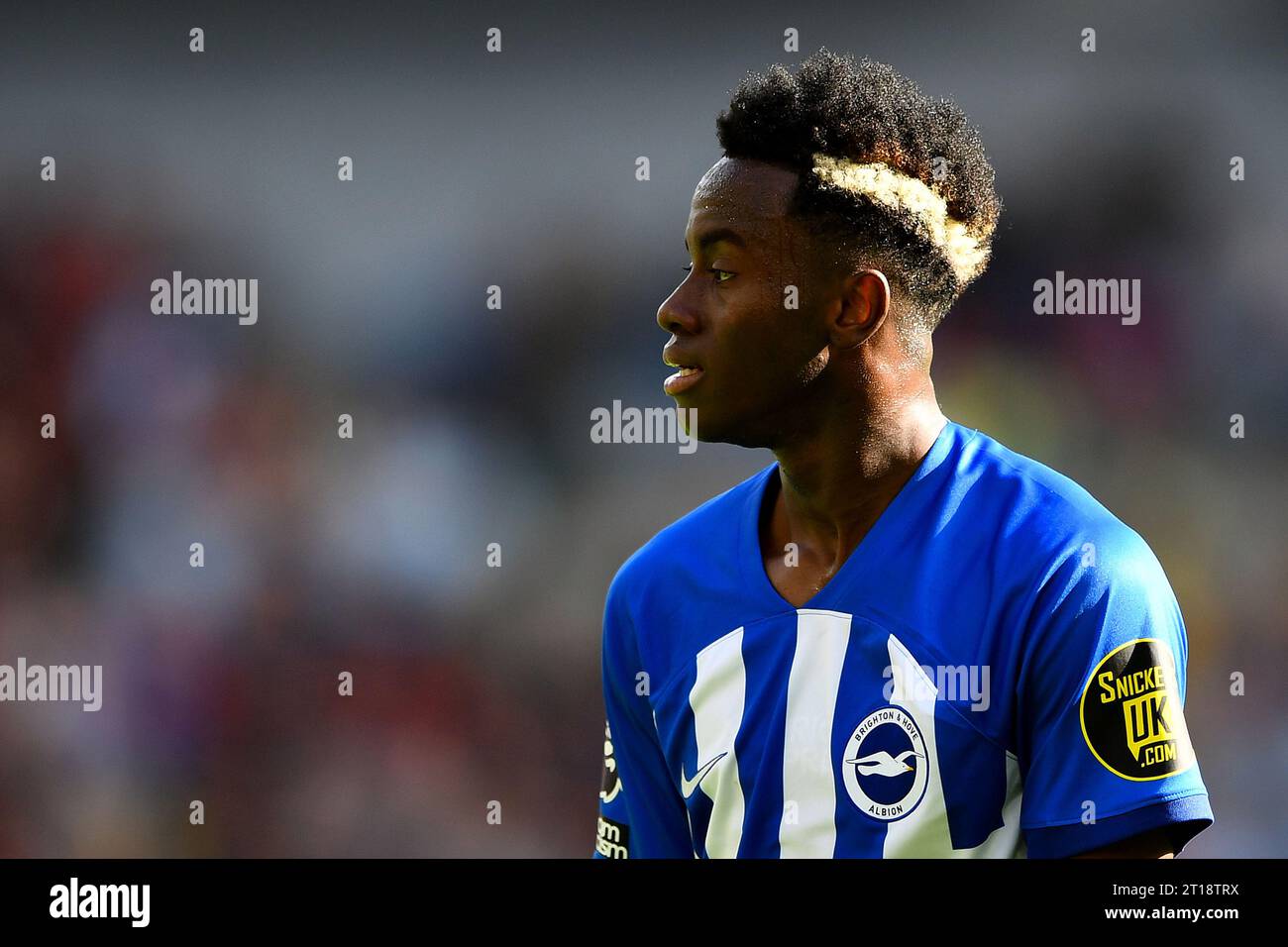 Simon Adingra aus Brighton - Brighton & Hove Albion / AFC Bournemouth ...