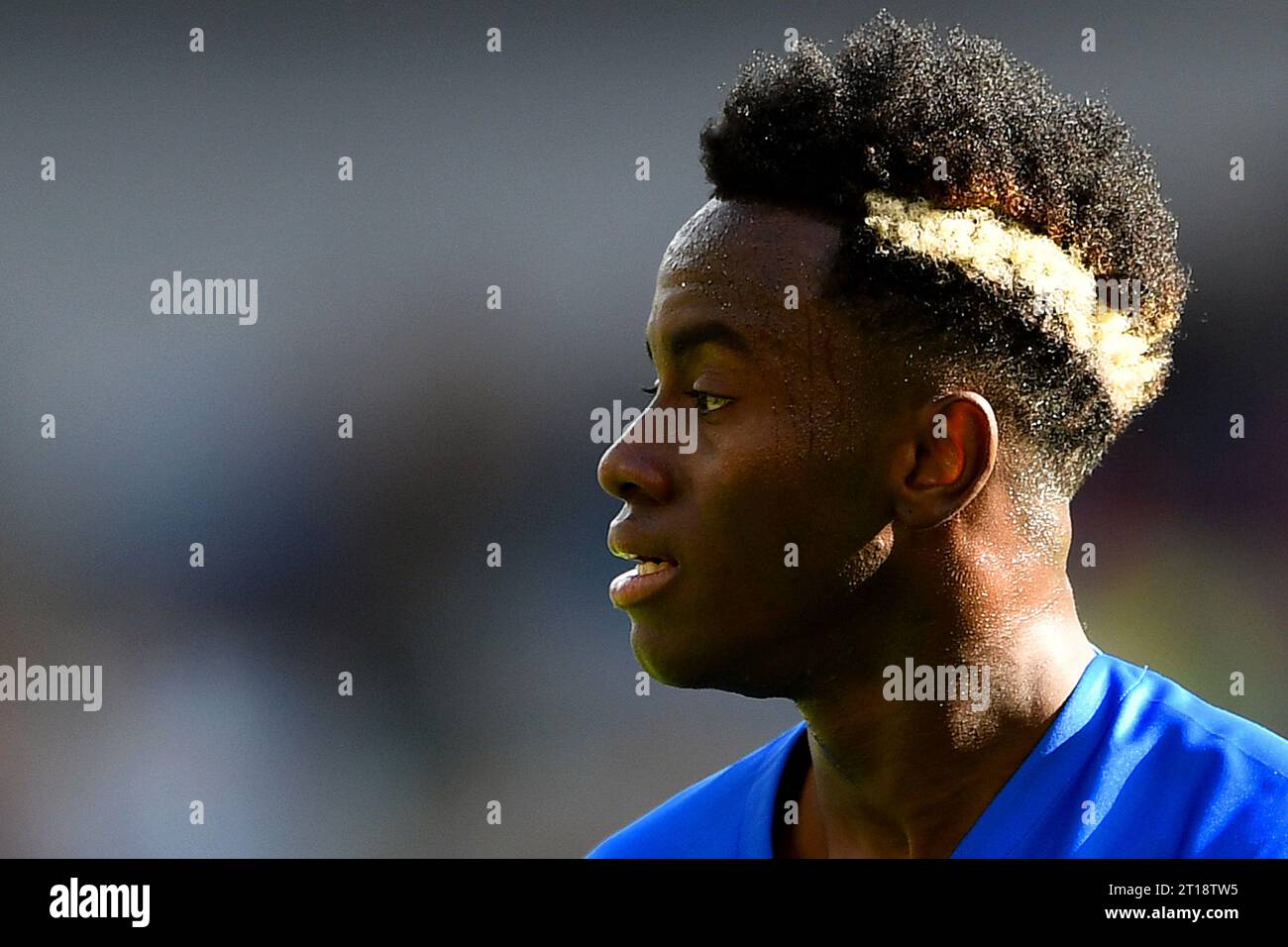 Brighton und hove albion simon adingra -Fotos und -Bildmaterial in ...