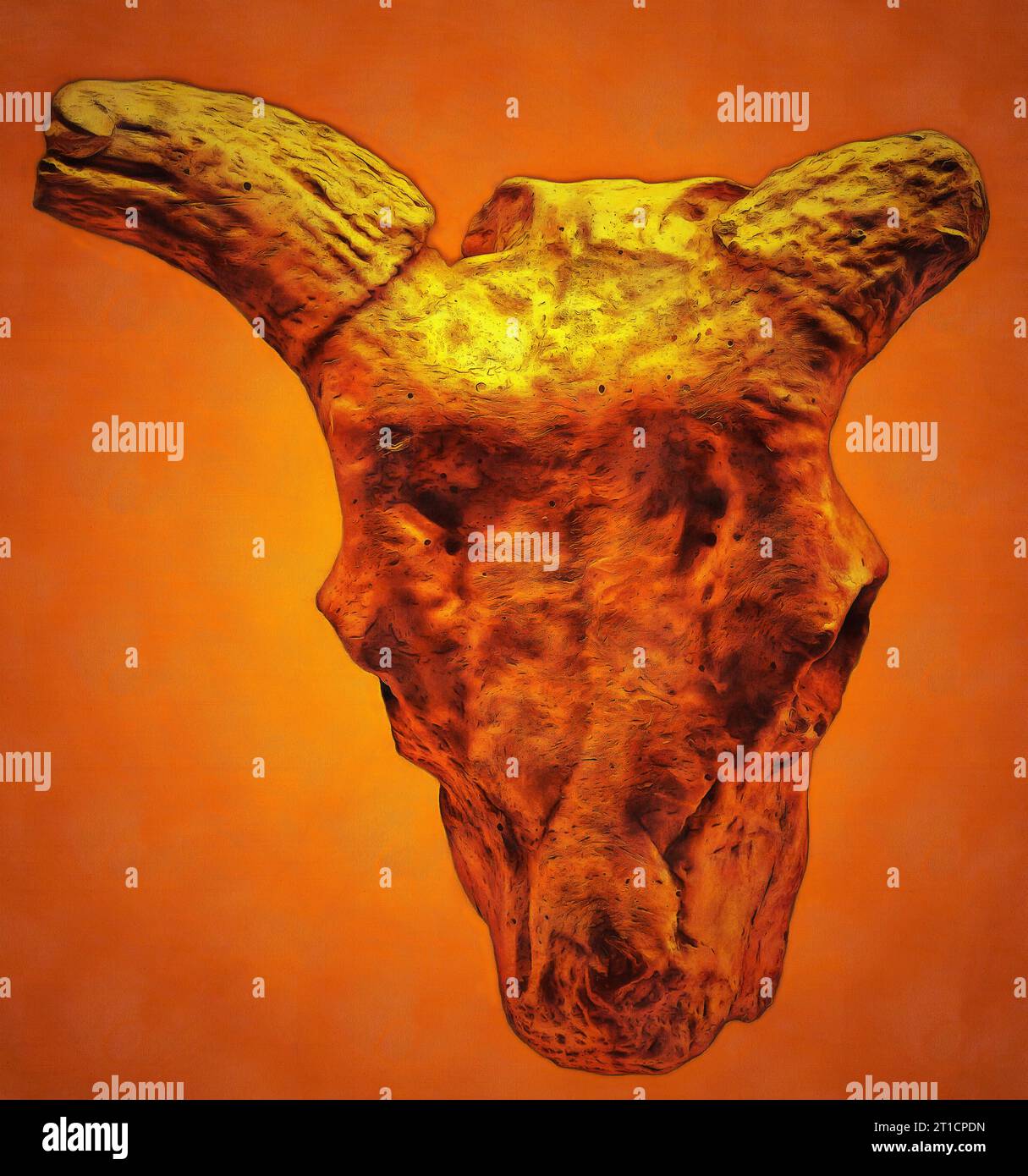 Leptobos stier -Fotos und -Bildmaterial in hoher Auflösung – Alamy