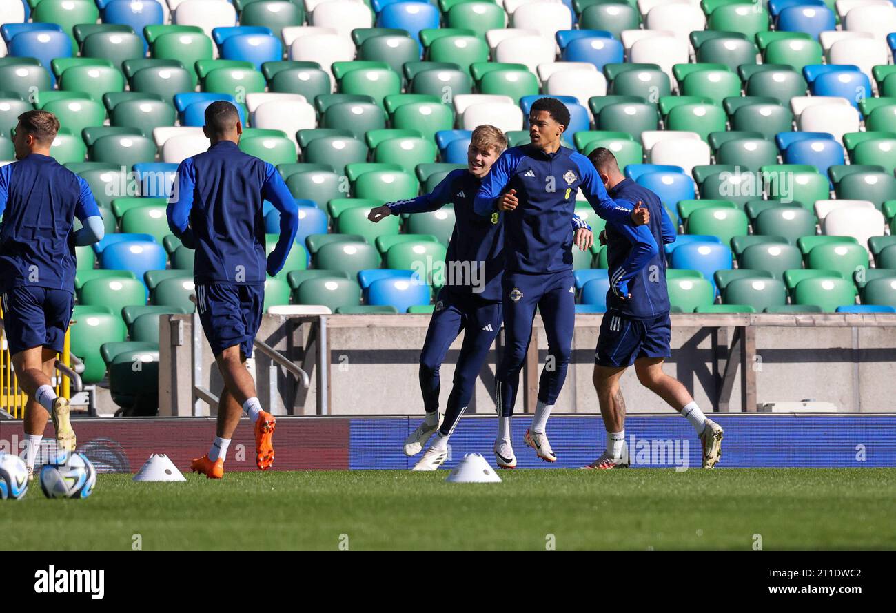 National Football Stadium im Windsor Park, Belfast, Nordirland ...