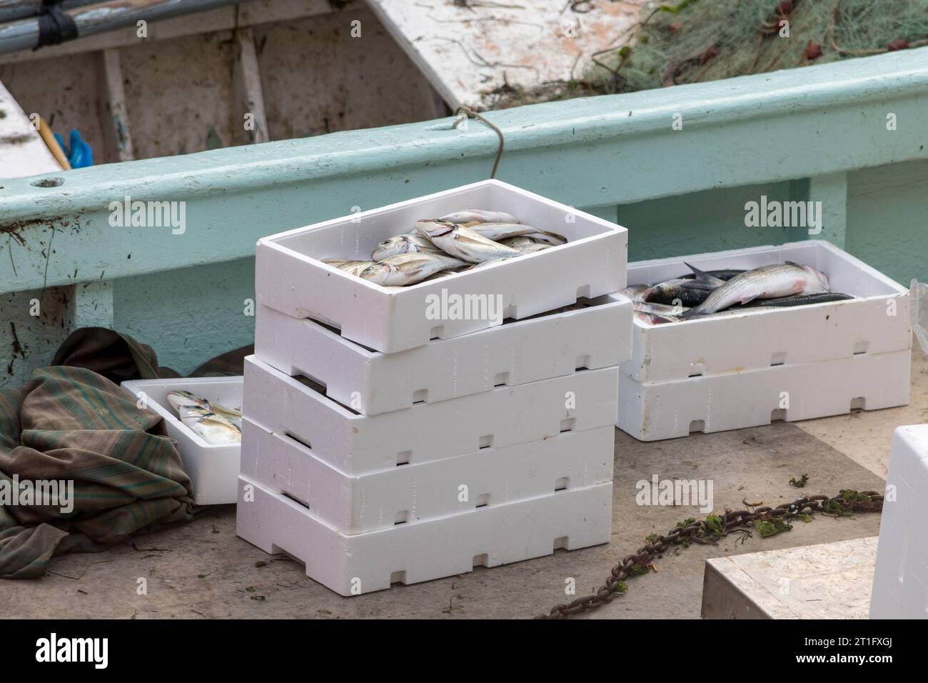Frischer Fisch aus dem Meer in Kisten gefangen, bevor er zur ...
