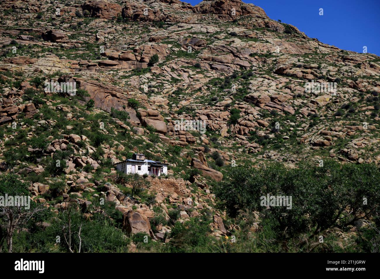 Erdene khamba -Fotos und -Bildmaterial in hoher Auflösung – Alamy