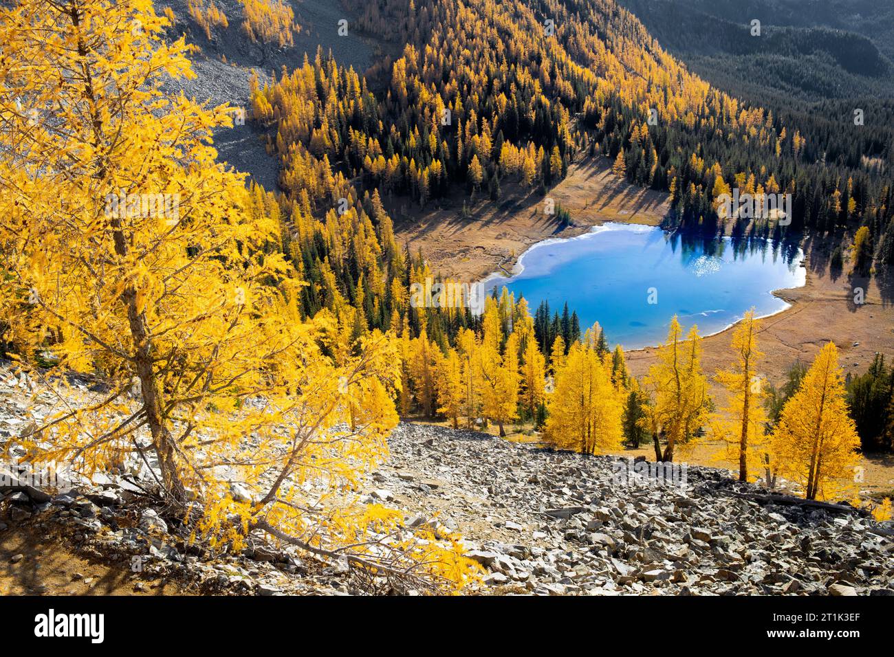 Boiling lake trail -Fotos und -Bildmaterial in hoher Auflösung – Alamy