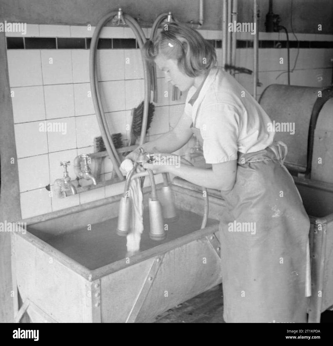 Sennerin beim melken -Fotos und -Bildmaterial in hoher Auflösung – Alamy