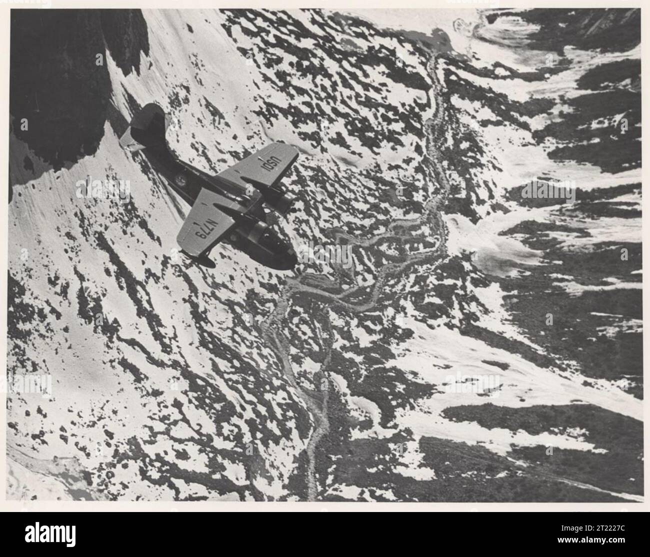 Schwarze gans flugbild -Fotos und -Bildmaterial in hoher Auflösung – Alamy