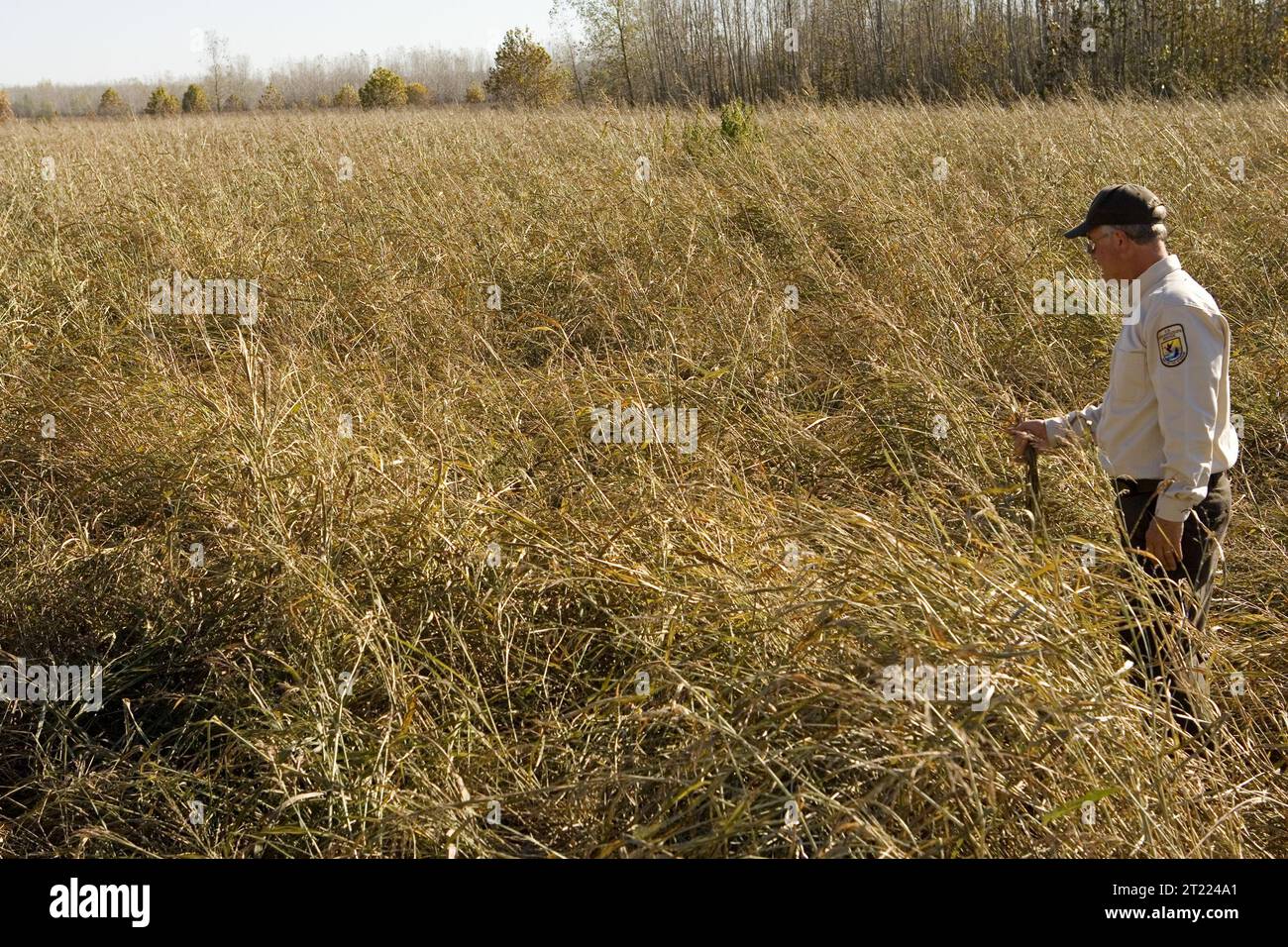 Mitarbeiter von U.S. Fish and Wildlife zeigen Hektar mit herbstlich ...