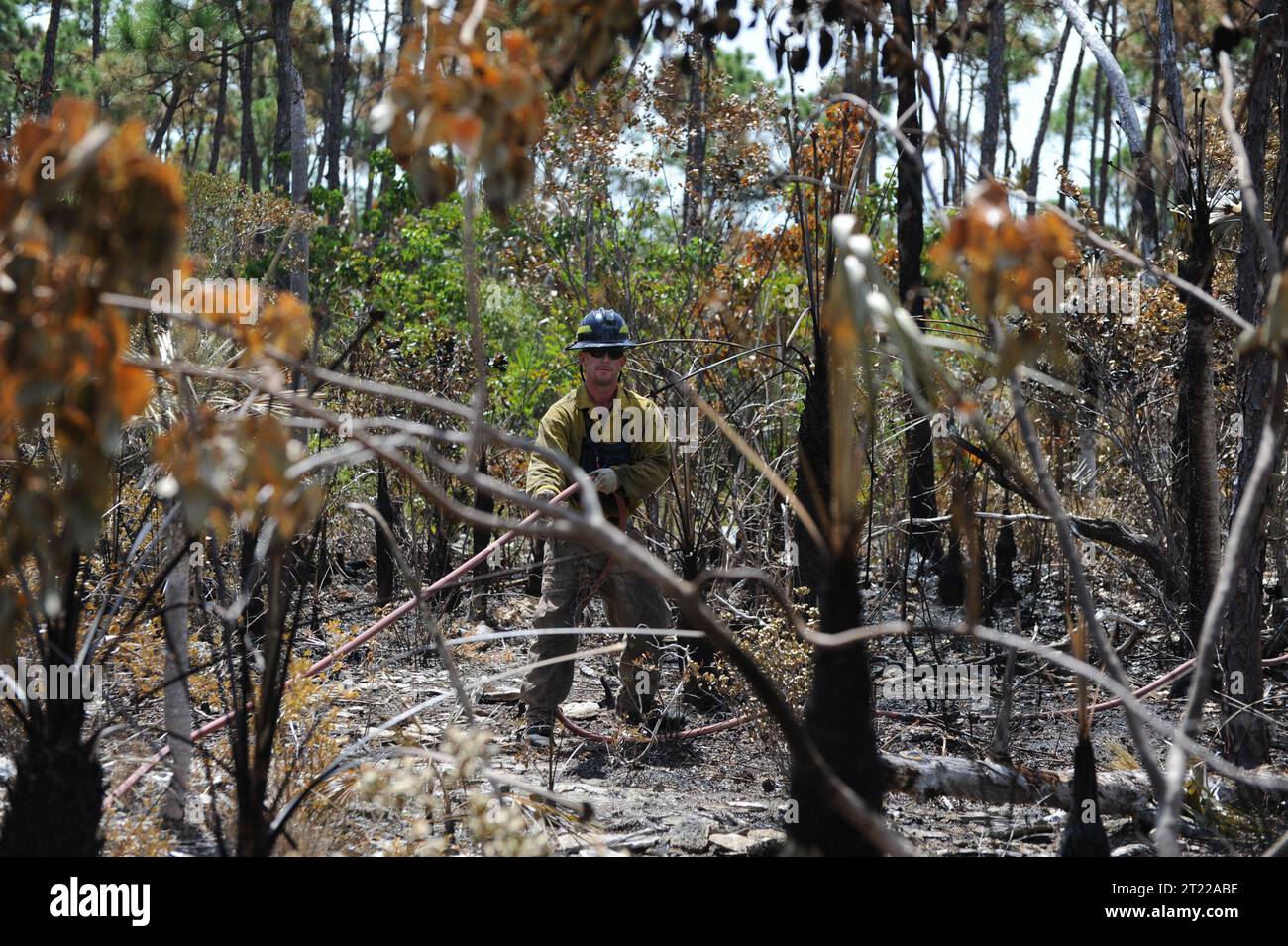 Dave Moran - Merritt Island National Wildlife Refuge wischt ein ...