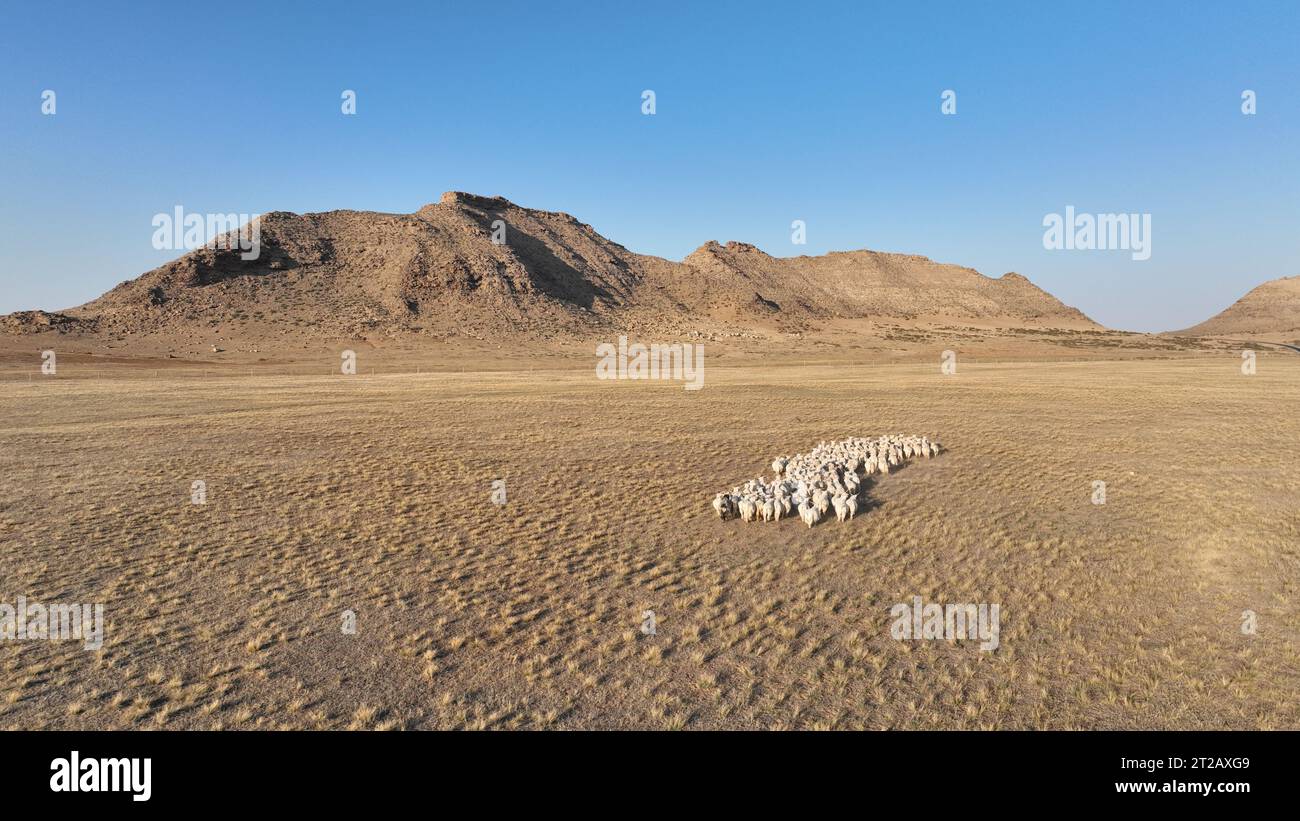 (231018) -- ORDOS, 18. Oktober 2023 (Xinhua) -- dieses Luftbild vom 15 ...