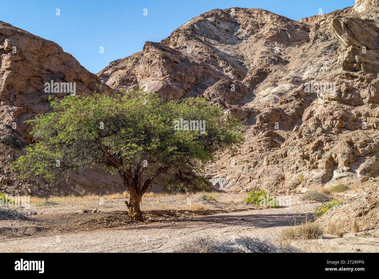 Kuiseb flusswasser -Fotos und -Bildmaterial in hoher Auflösung – Alamy