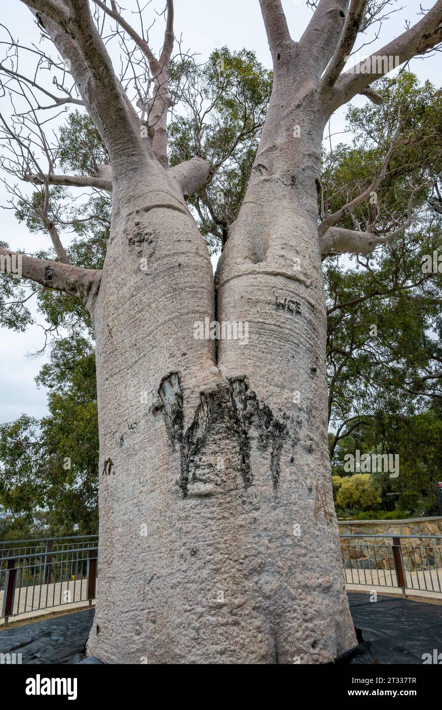 Botanischer park australien -Fotos und -Bildmaterial in hoher Auflösung ...