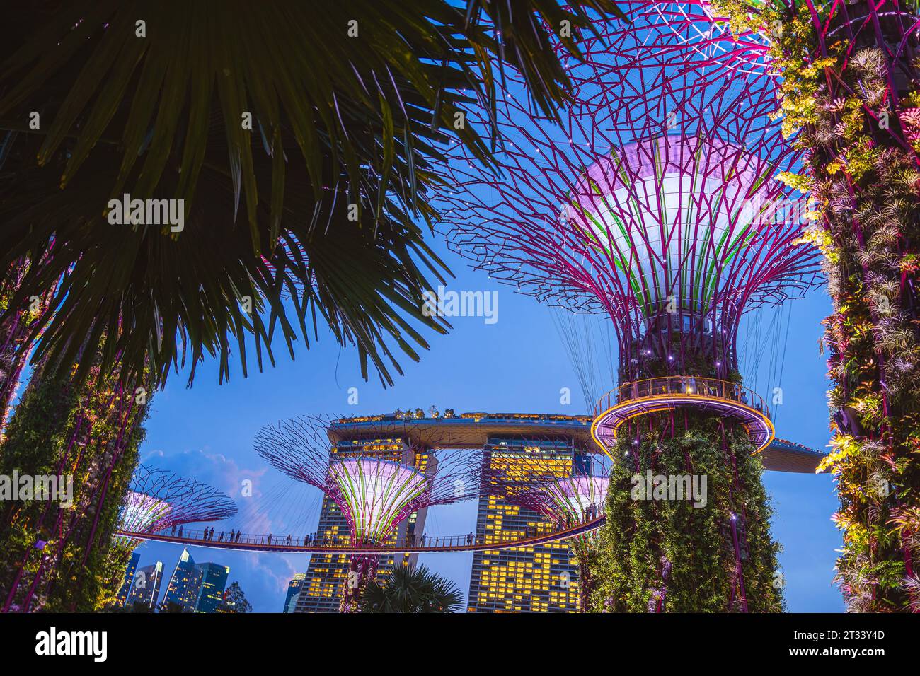Singapore super trees -Fotos und -Bildmaterial in hoher Auflösung – Alamy