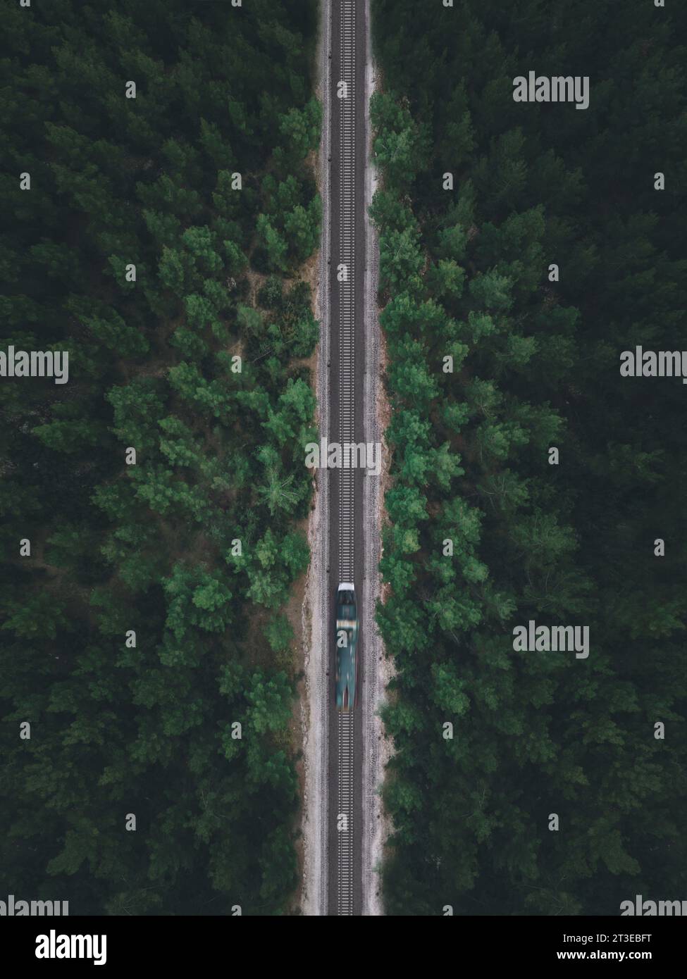 Luftaufnahme der Lokomotive, die im Herbst auf der Bahn durch den Wald fährt, aufgenommen von ...