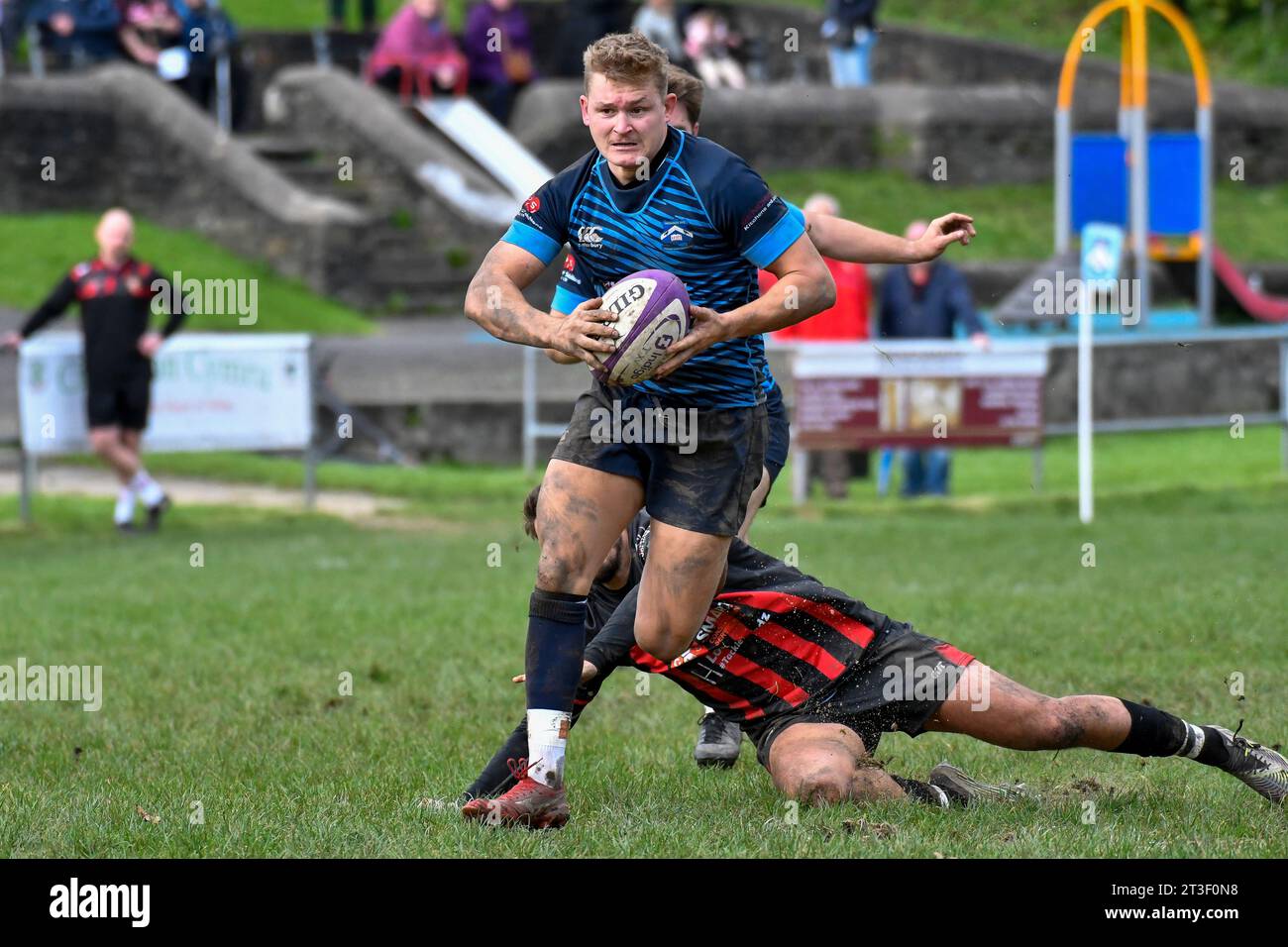 Maesteg quins fotos -Fotos und -Bildmaterial in hoher Auflösung – Alamy
